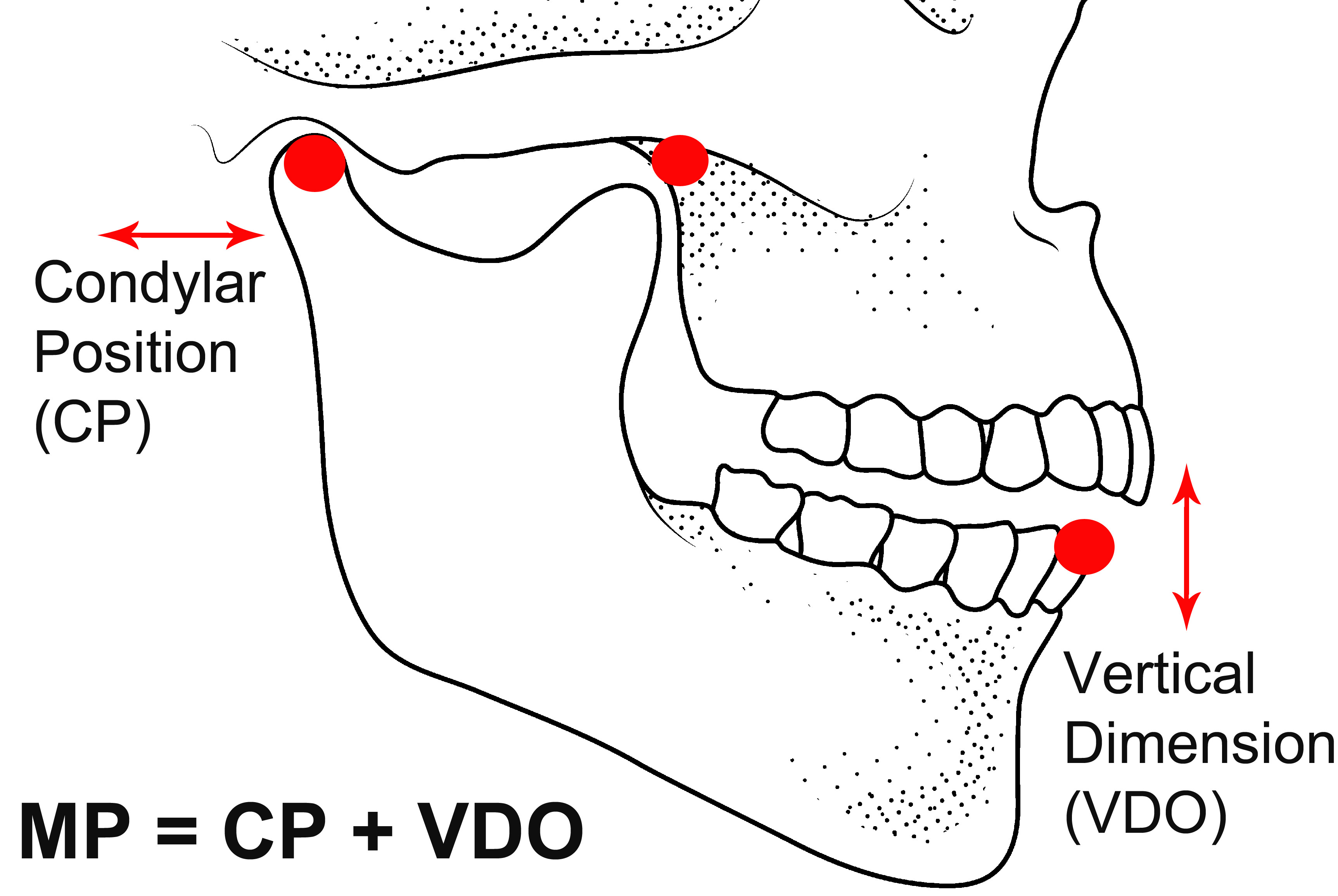 Occlusion principles for the practising dentist in the digital age