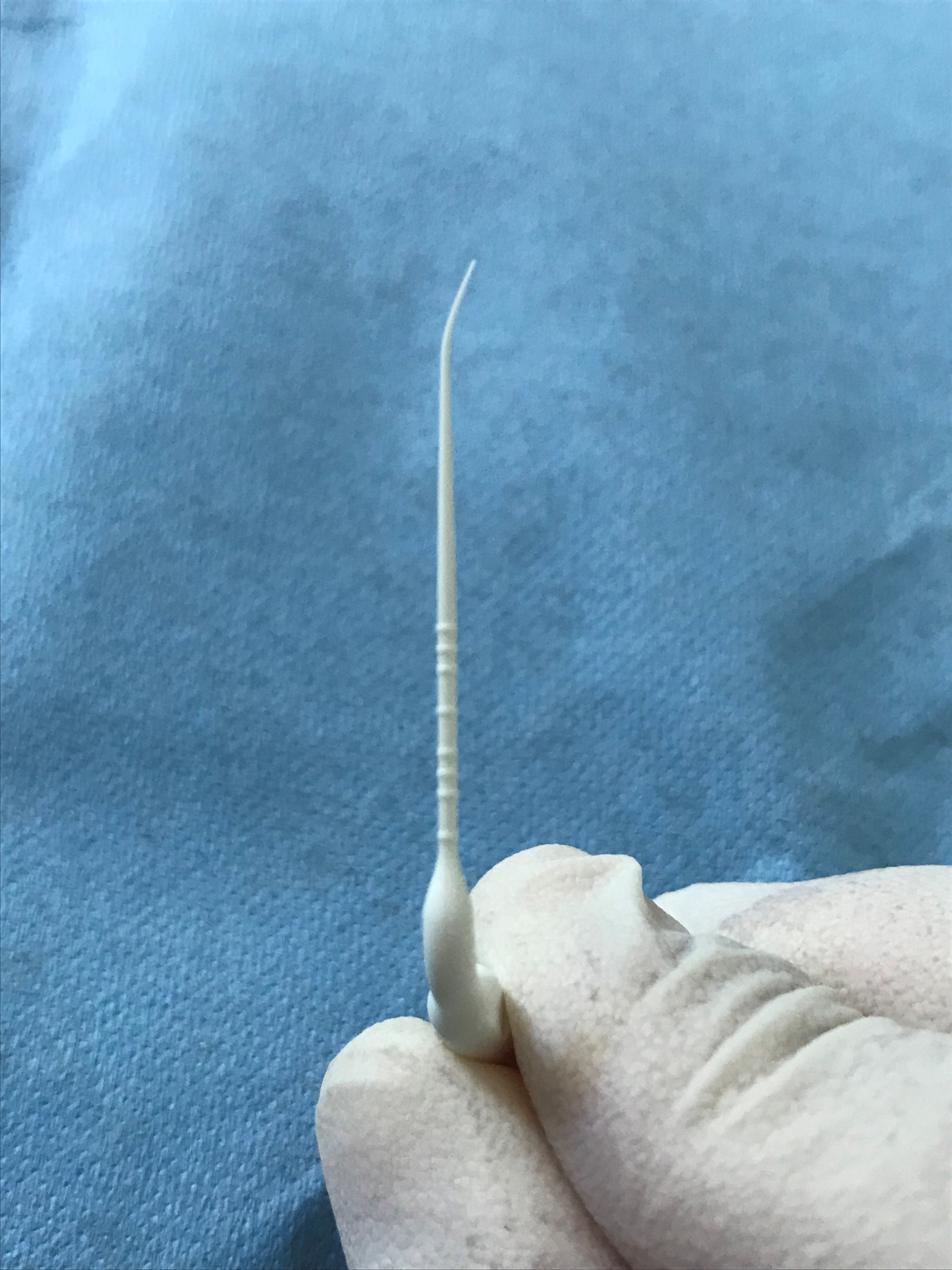 Dental News - Shaping a Type V mandibular premolar with VDW.ROTATE