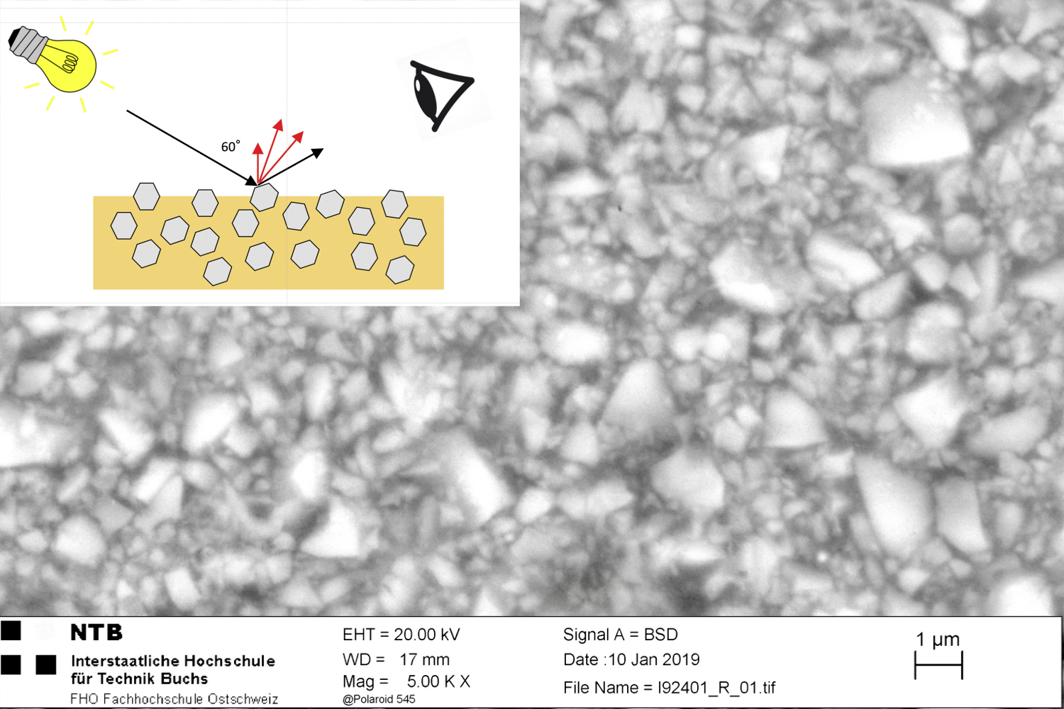 DT News - MEA - The next generation of the composite veneering system