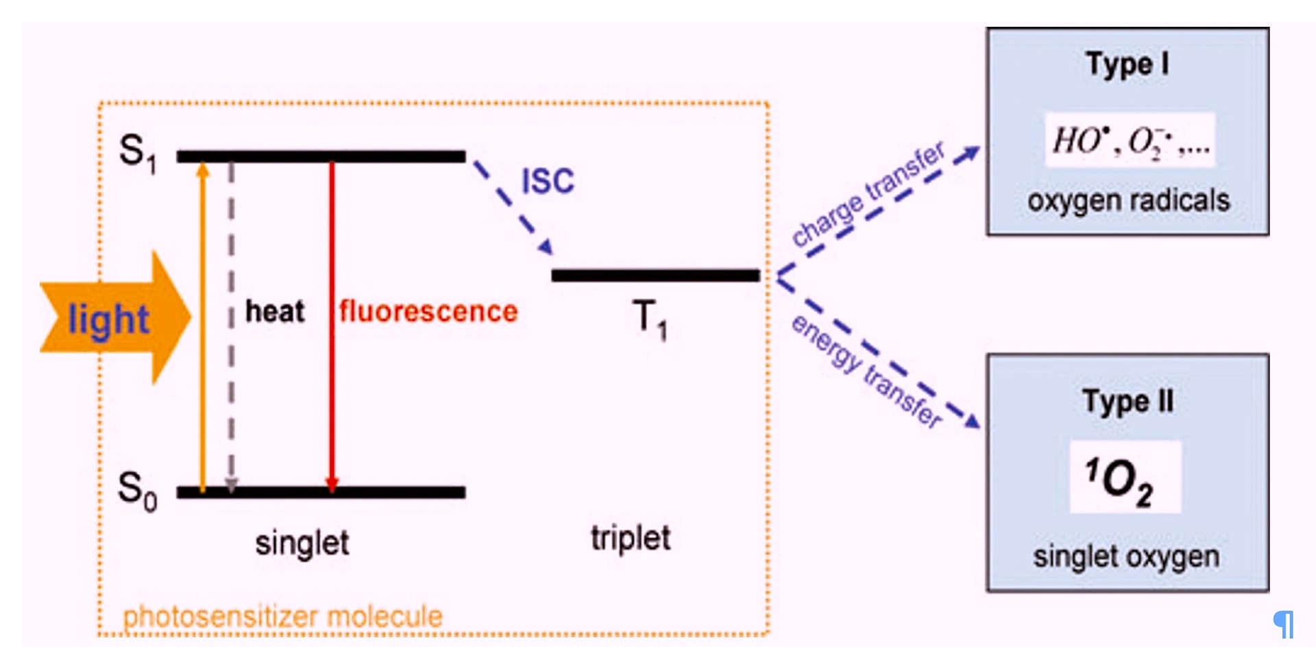 DT News - Latin America - Terapia fotodinámica, ayer y hoy (7)