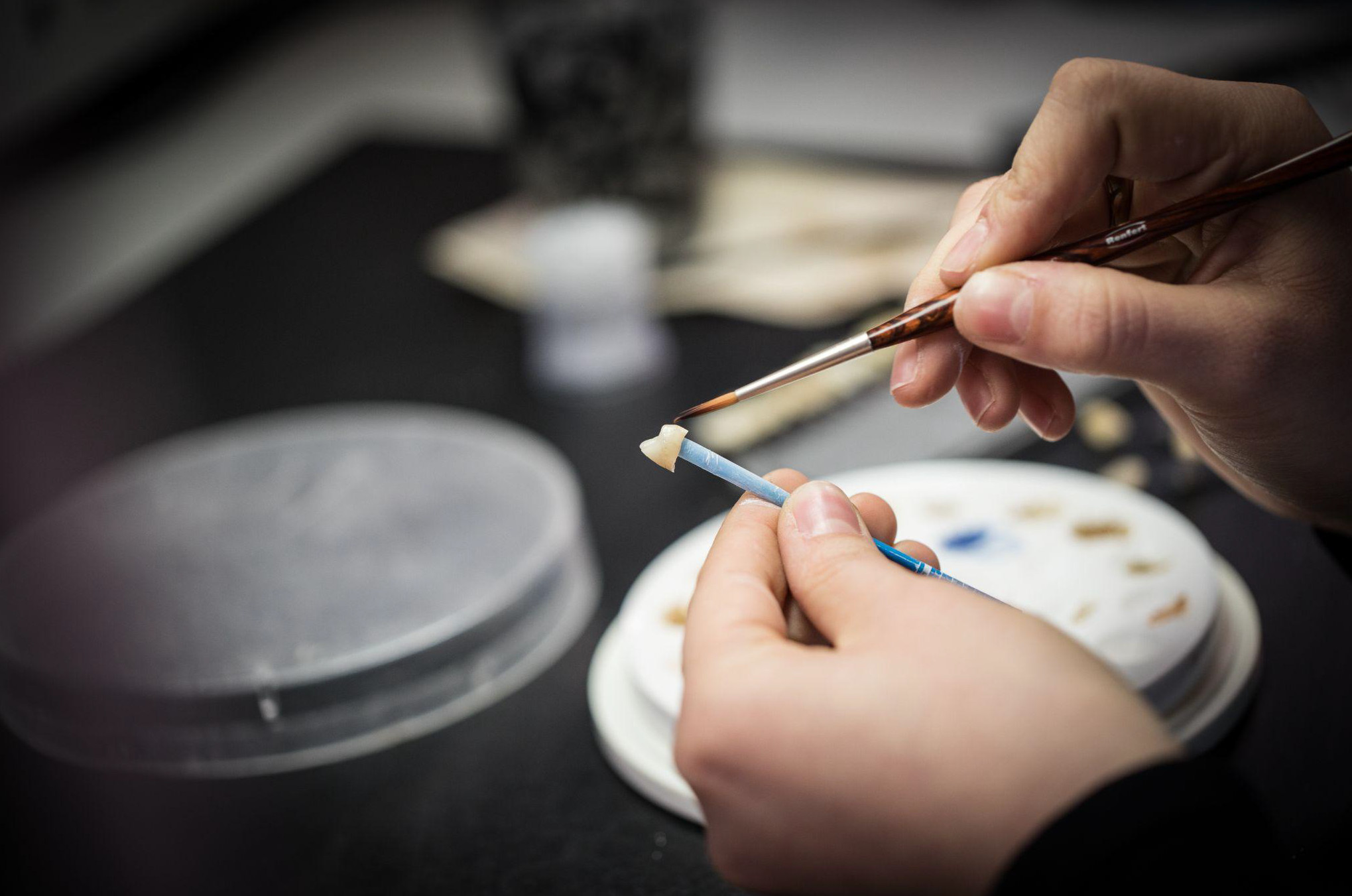 DT News - France - Le laboratoire Crown Ceram fête ses 40 ans